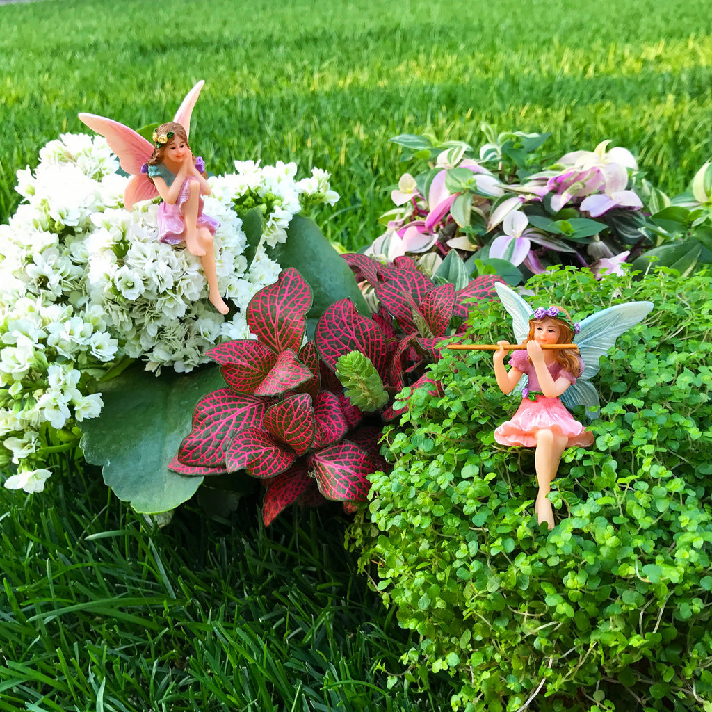 Fairy Garden Kit